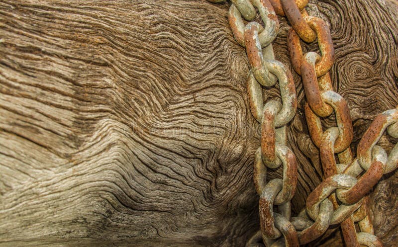 Chains stock photo. Image of live, chain, tree, textures - 64482054
