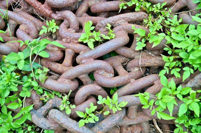 Chains Nature stock photo. Image of chrome, toughness - 31269220
