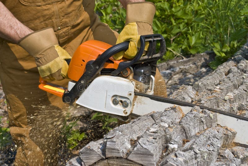 Lawn mowing stock photo. Image of green, lawn, mower, tree - 933496