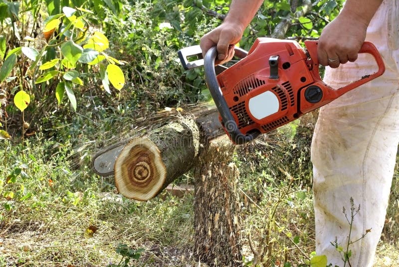 Chainsaw stock photo. Image of forestry, person, human - 21768292