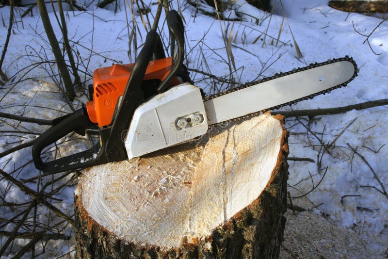 Chainsaw stock photo. Image of woods, chainsaw, forest - 4031020