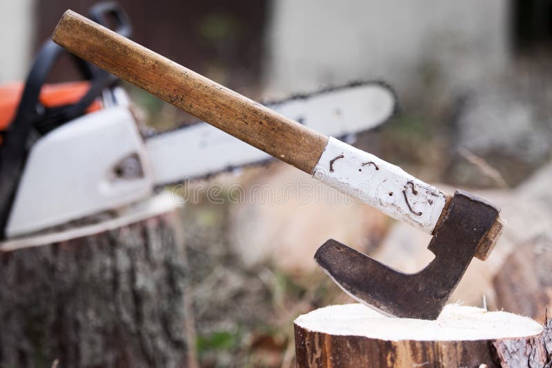 Chainsaw Blade Cutting Log of Wood Stock Photo - Image of cutting, bark ...