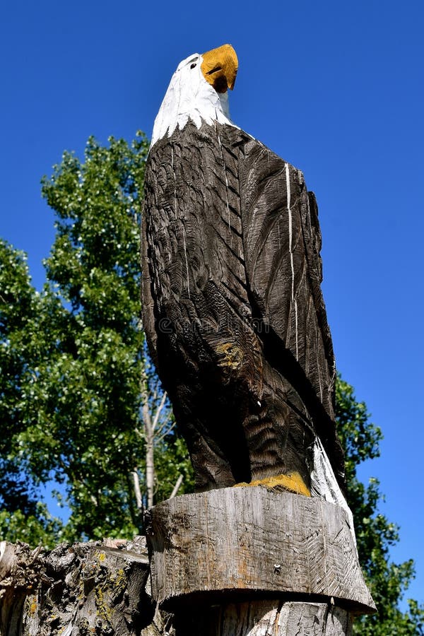 A Chainsaw Carving of a Beautiful Bald Eagle Stock Photo - Image of ...