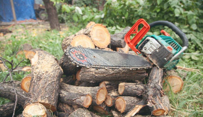 Chainsaw on Cut Logs into the Woods. Tree Cutting Stock Image - Image ...