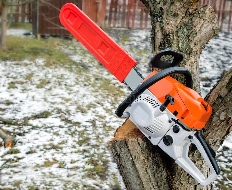 Chainsaw and Cut Tree Branches. Stock Photo - Image of cutting, food ...