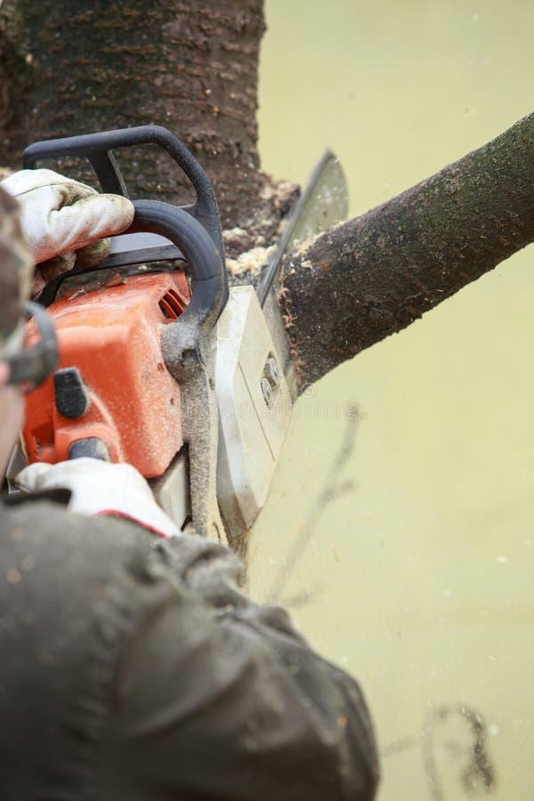 Chainsaw in a hands stock photo. Image of felling, lumber - 169487498