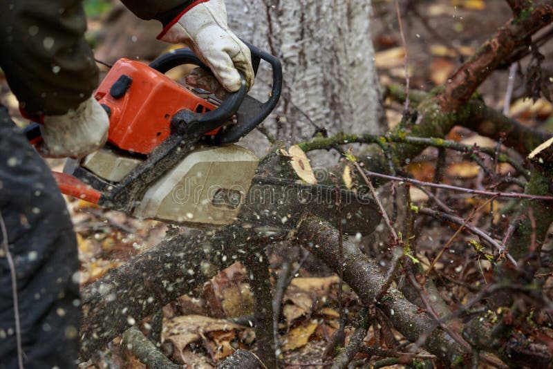 Chainsaw in a hands stock photo. Image of industry, human - 166999196