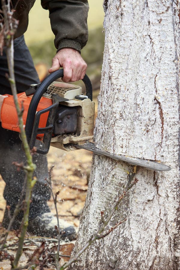 Chainsaw in a hands stock image. Image of hand, lumber - 166999281