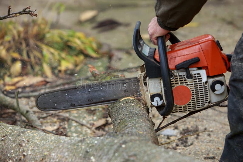 Chainsaw in a hands stock image. Image of equipment - 169487331