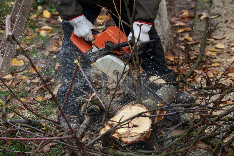Chainsaw in a hands stock photo. Image of forestry, power - 173566012