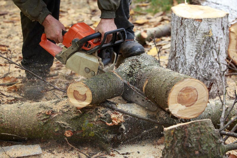 Chainsaw in a hands stock photo. Image of house, industry - 173566088