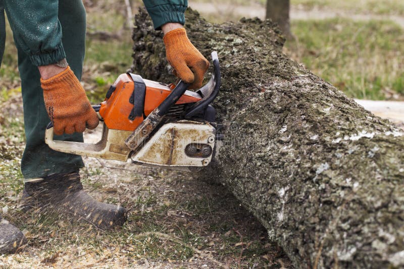Chainsaw in a hands stock photo. Image of lumberjack - 73308468