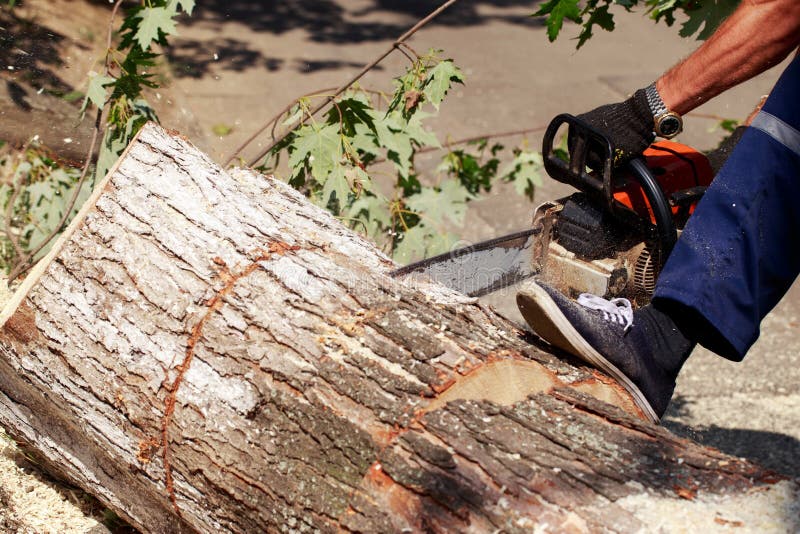 Chainsaw in a hands stock image. Image of wood, hands - 77262197