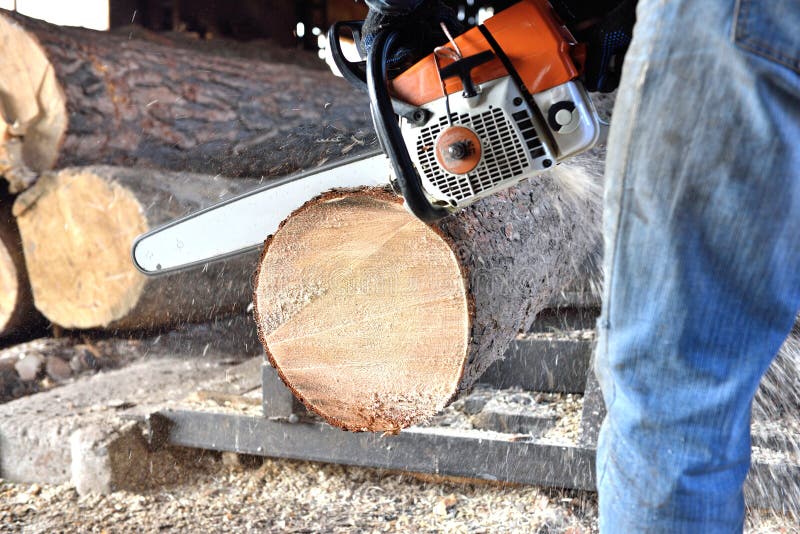 Chainsaw sawing wood stock photo. Image of agriculture - 54374616