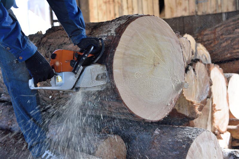 Chainsaw sawing wood stock image. Image of color, fuel - 54375021