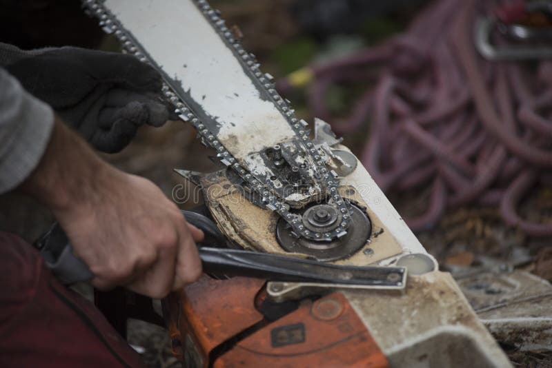 Chainsaw for Tree Cut or Tree Pruning Stock Image - Image of hazard ...