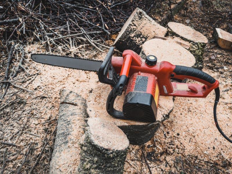 Chainsaw on Wooden Stump. Cut Tree Machine. Hard Wood Working in Forest ...