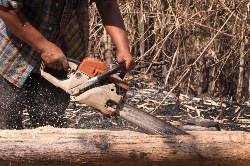 Chainsaw stock image. Image of sawing, forest, chain - 44486555