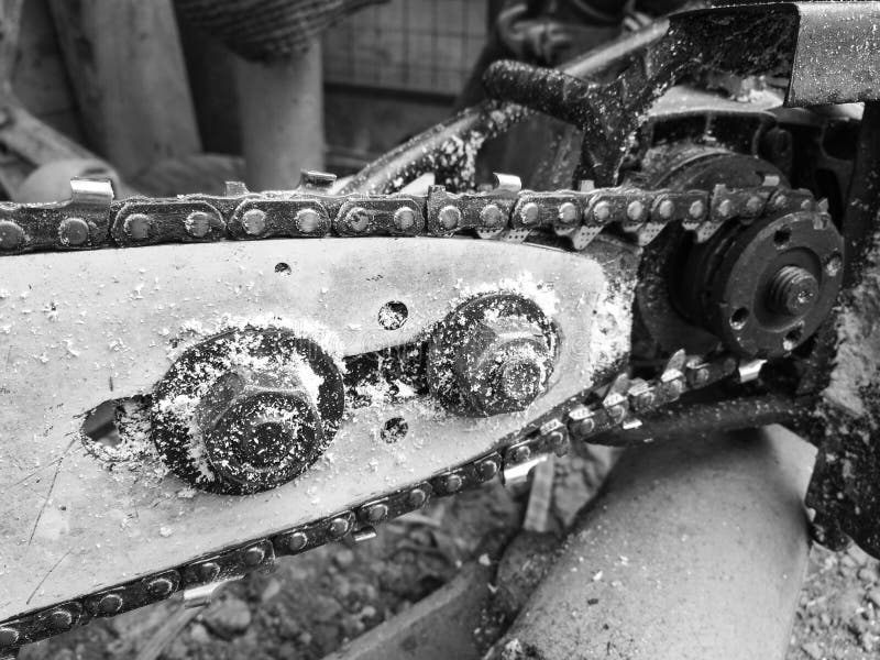 Cane Pazzo Di Male Della Motosega Del Cane Fotografia Stock - Immagine ...