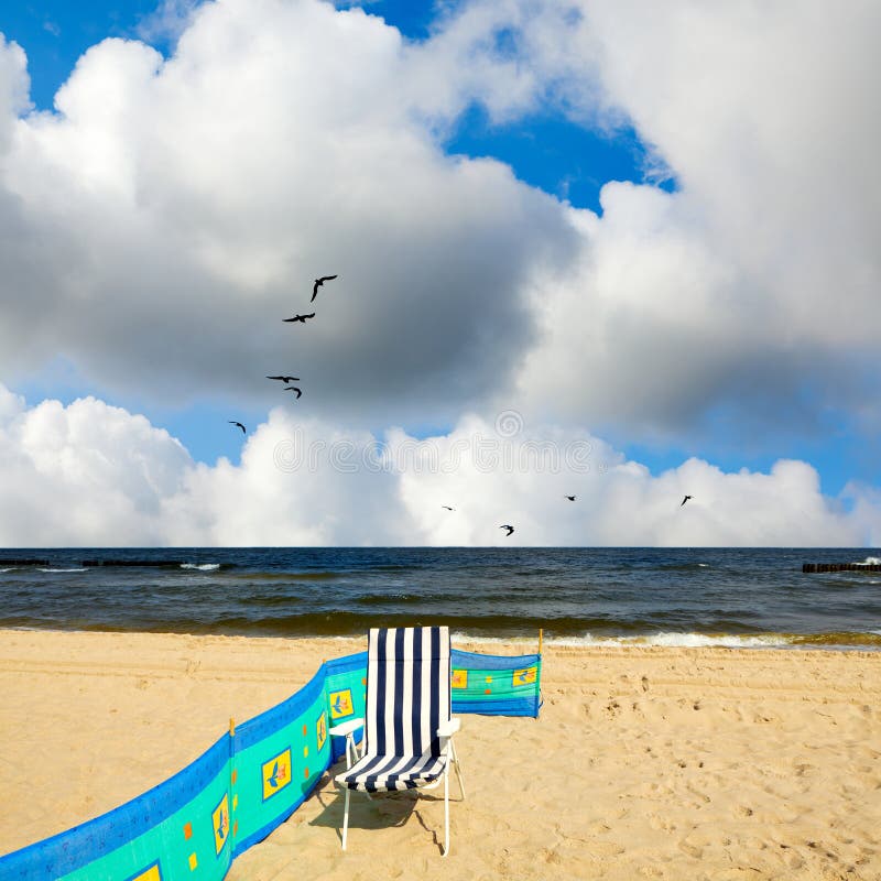 Chair on beach sand stock photo. Image of bird, seascape - 20412658