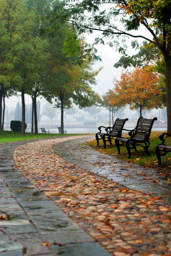 The chair and bypath stock image. Image of raod, poetry - 4399243