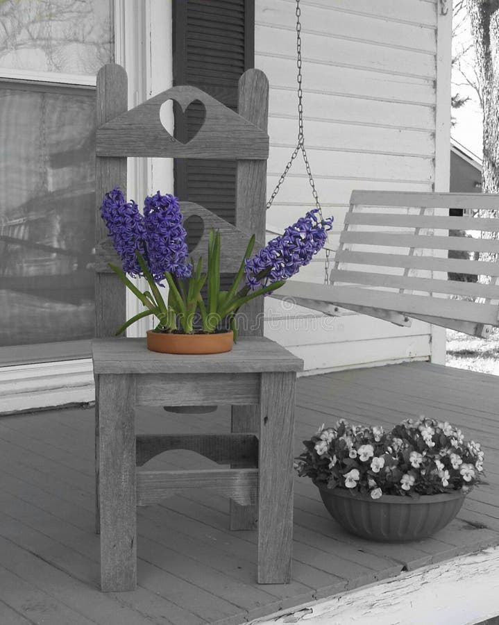 Chair with flowers stock photo. Image of white, black, hyacinth - 244102