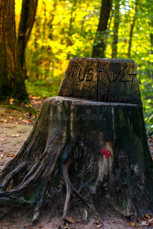 Stranger Things Hunted Stock Photos - Free & Royalty-Free Stock Photos ...