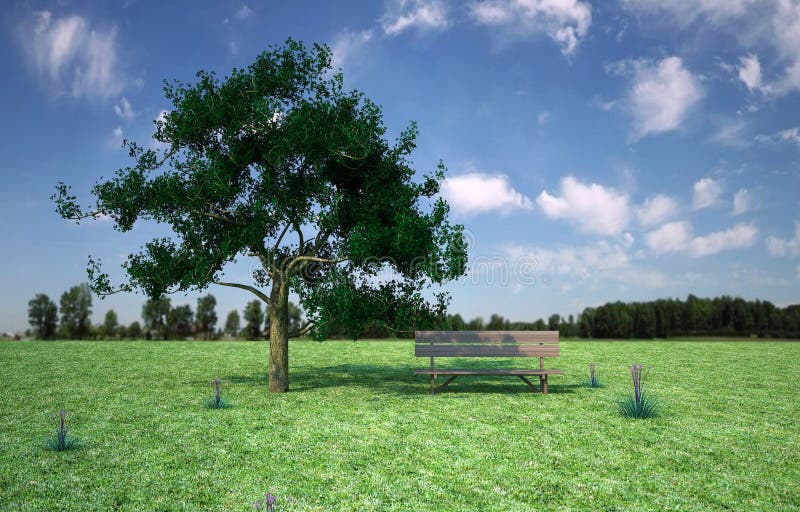 Chair in nature stock image. Image of tree, landscape - 7782985