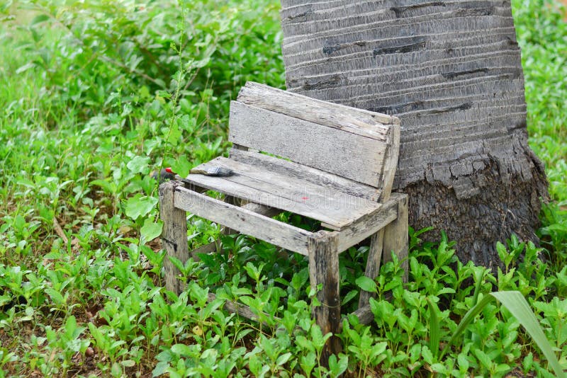 One Chair in the Park Background Stock Photo - Image of resting, seat ...