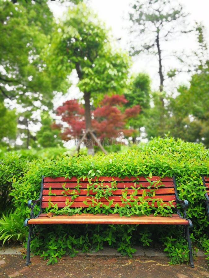 Chair in park stock image. Image of summer, iron, leaves - 91097787
