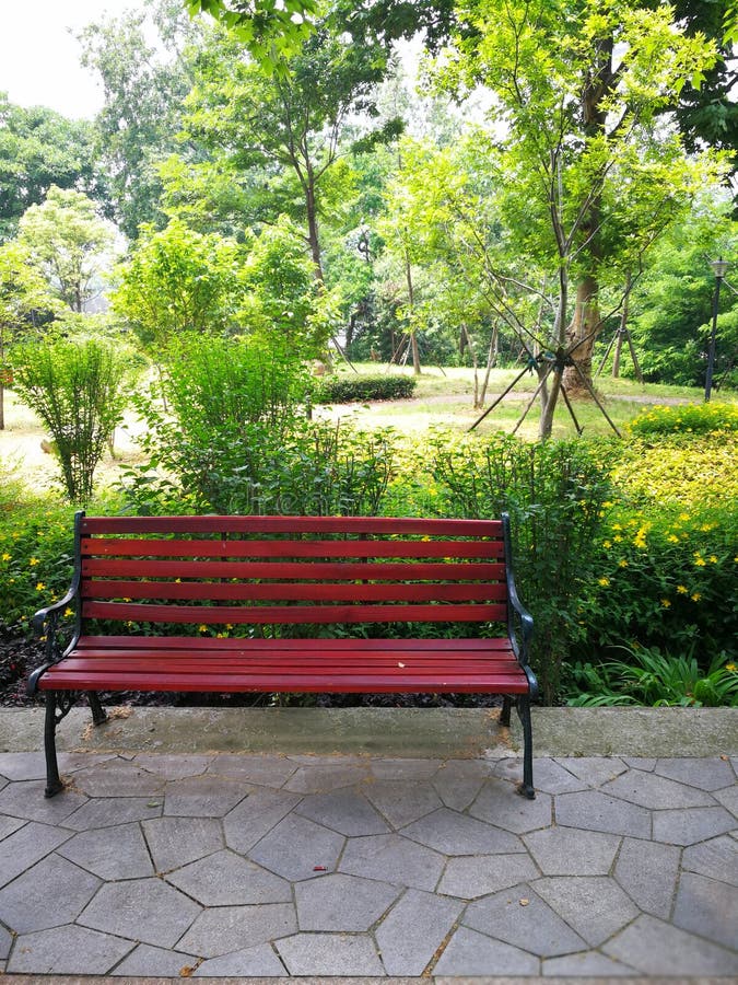 Chair in the park stock image. Image of trees, tree - 122848441