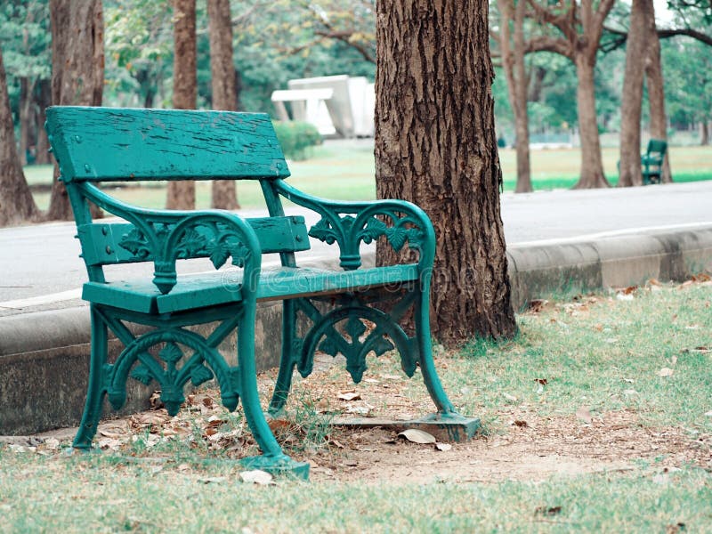 Chair stock photo. Image of park, chair, public, tree - 86295378