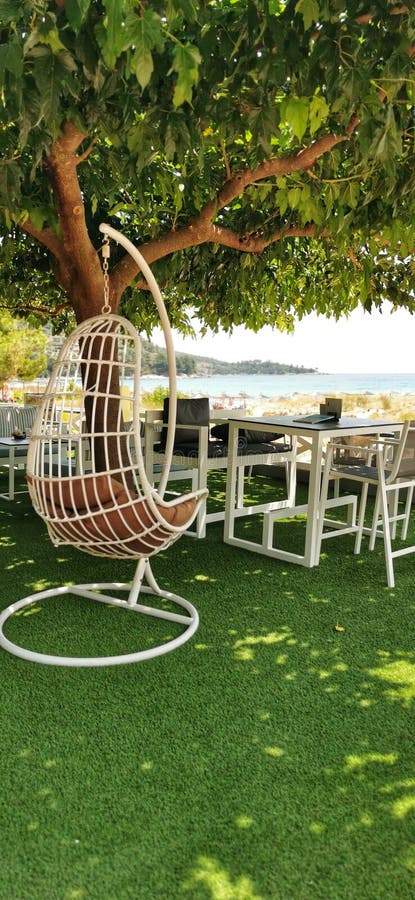 A Wood Chair Under Tree In A Garden Stock Image - Image of landscape ...