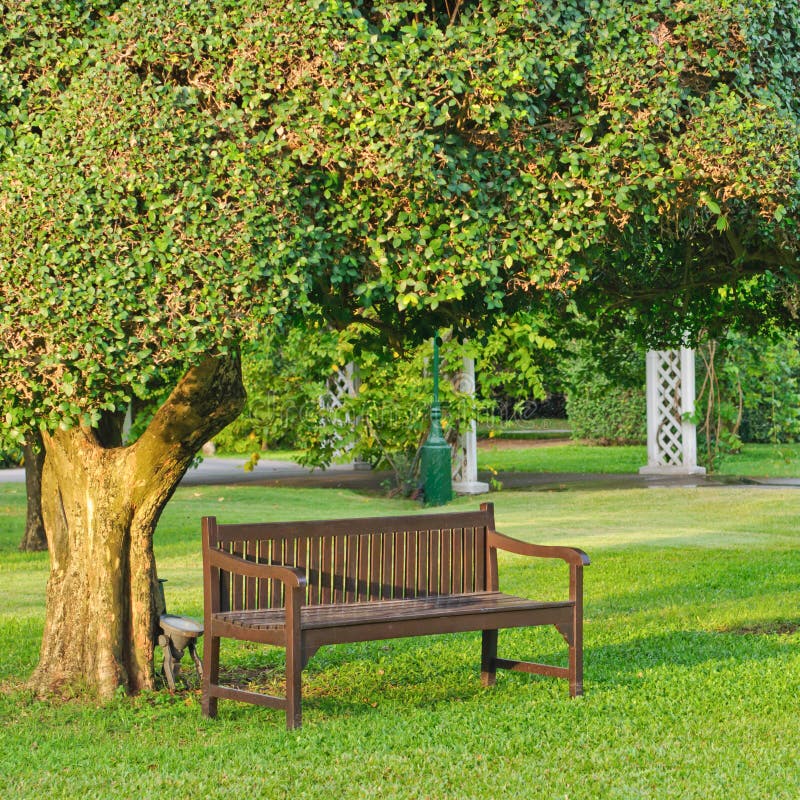 Park bench under tree stock image. Image of foliage, summer - 35983481