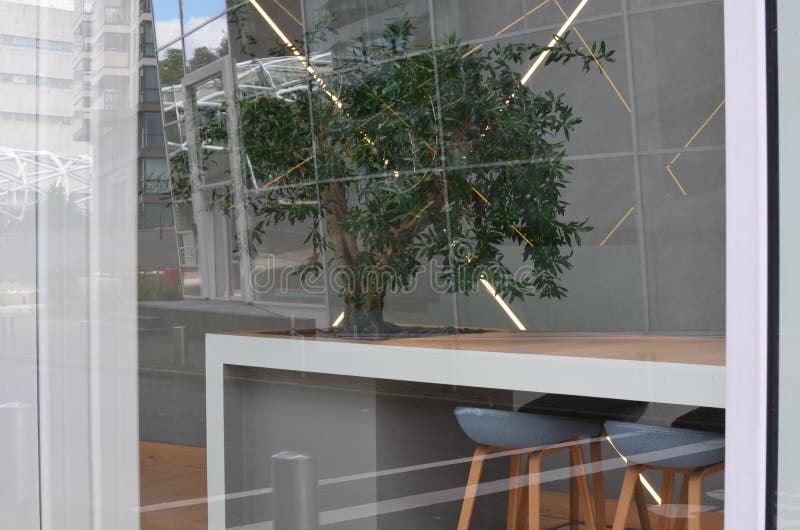 Chairs and Decorative Tree on Table Indoors, View from Outside Stock ...