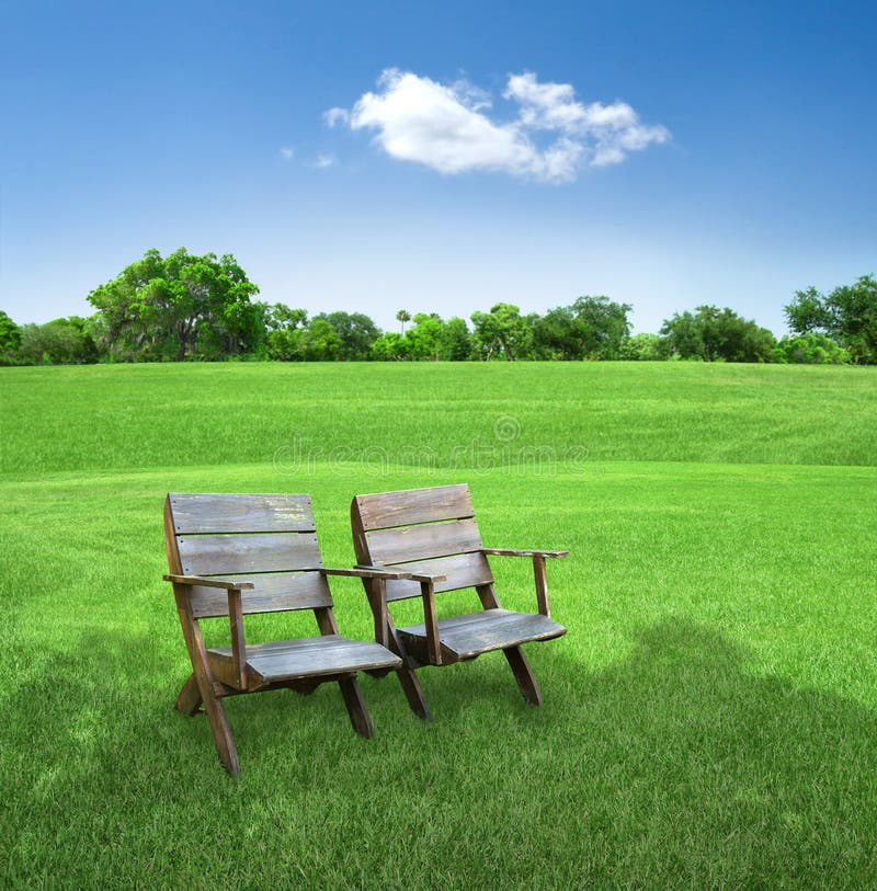 Lone tree stock photo. Image of maple, single, summer - 5824298