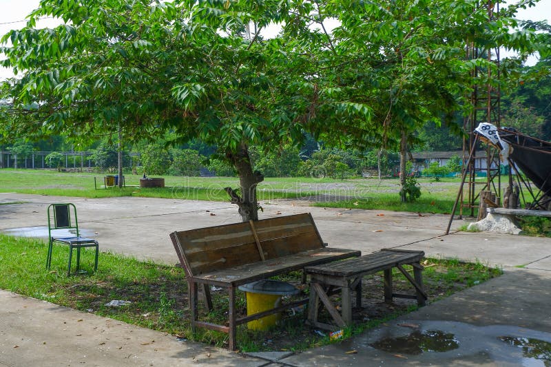 Under a shady tree stock image. Image of closeup, tree - 316126557