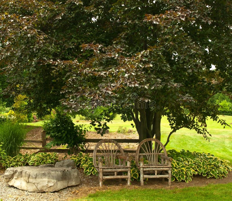 Chairs under tree stock image. Image of rest, rock, fence - 25495985