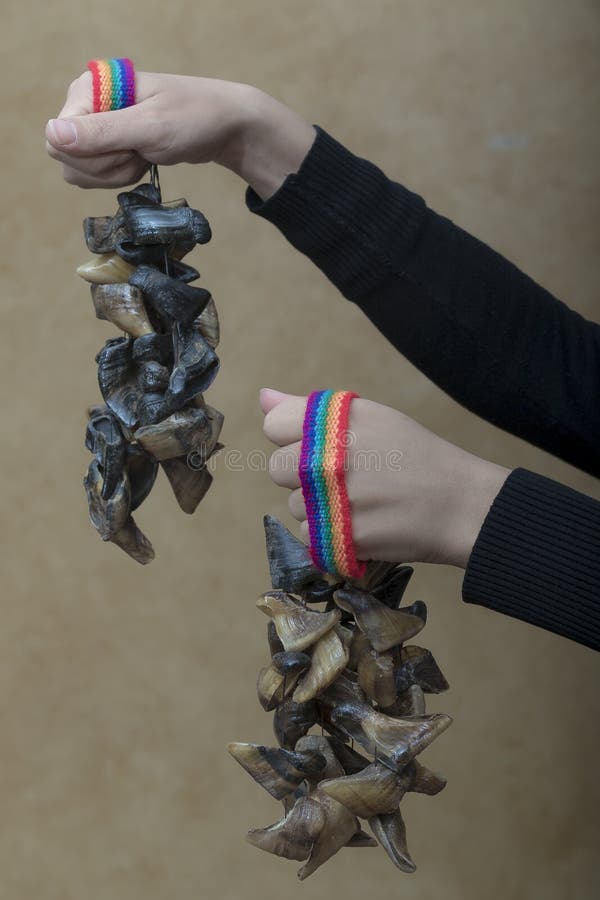 Chajchas stock photo. Image of rattle, instrument, folklore - 69487776