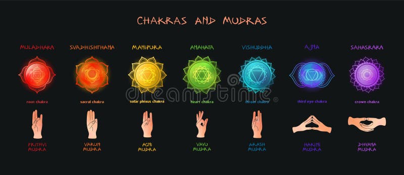 Chakras and Associated Mudras Vector Infographic Stock Illustration ...