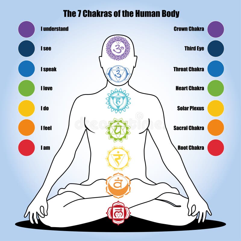 Chakras System of Human Body - Used in Hinduism, Buddhism and Ayurveda ...