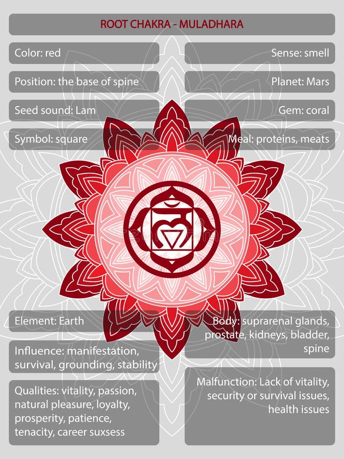 Chakras Symbols with Description of Meanings Infographic Stock Vector ...