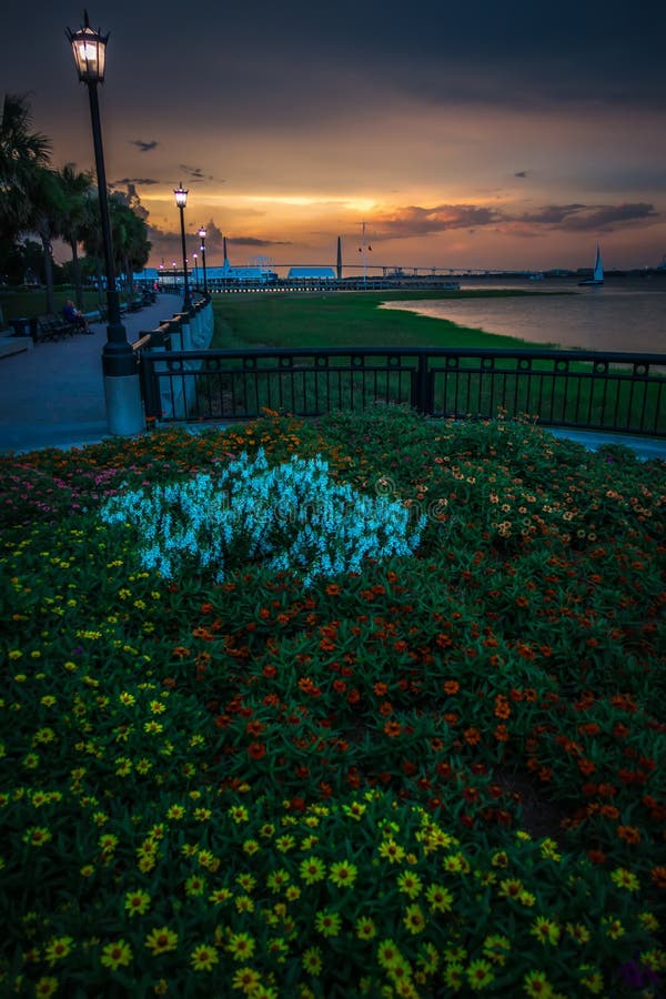 Chaleston South Carolina Park Waterfront at Sunset Stock Photo - Image ...