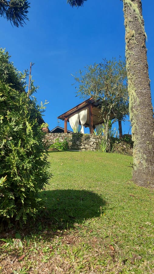 A Chalet for a Break in the Middle of Nature with a Green Lawn, Trees ...