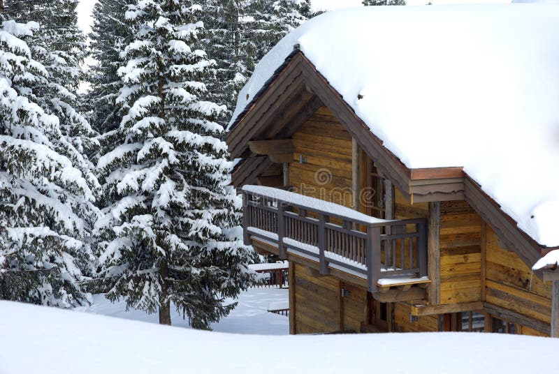 Chalet in the forest stock photo. Image of accommodation - 8559542