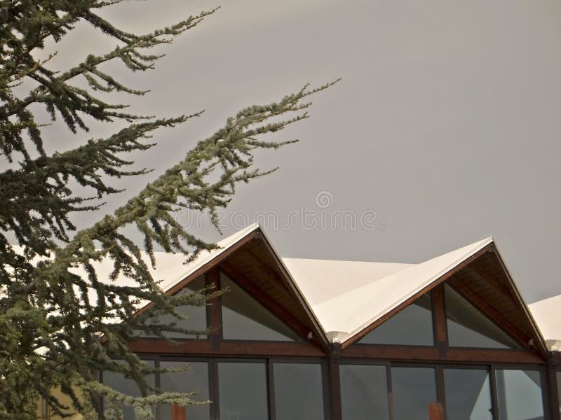 Chalet in the Spring stock photo. Image of branch, spring - 590254