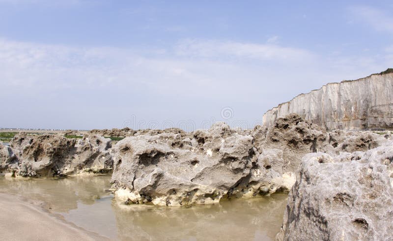 Chalk Cliff Along the Beach Stock Photo - Image of hard, natural: 19738110