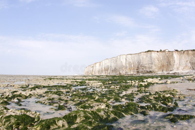 Chalk Cliff Along the Beach Stock Photo - Image of light, beauty: 19889654