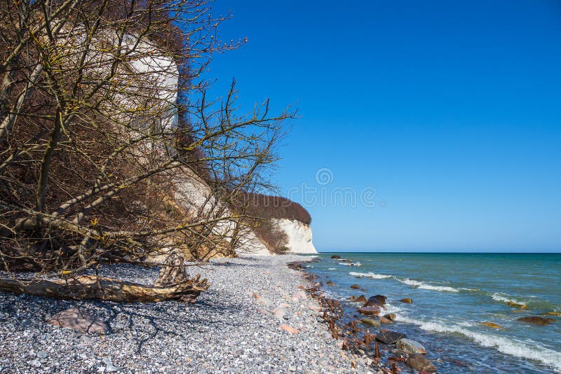 Chalk Cliffs on the Baltic Sea Coast on the Island Ruegen, Germany ...