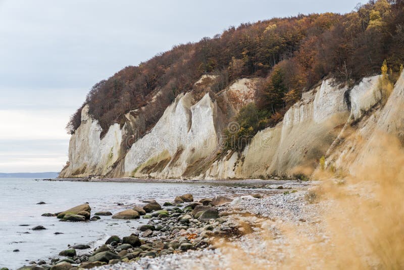 Chalk Cliffs with Coastal Beech Forest and Boulders in the Ocean Stock ...